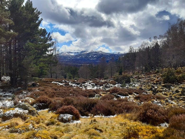Balmoral Pyramid Walk featuring all the Cairns - with Scots2Travel
